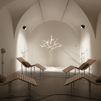 Stromy tvoří les a ty tvoříš strom - galerijní situace